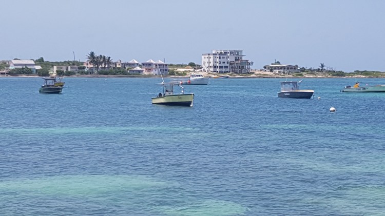 Factors Influencing Intra-Regional Trade in the Caribbean – PGTS Inc.